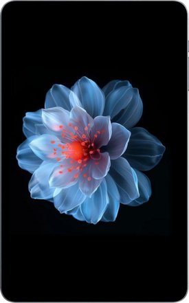 Alldocube iPlay 50 Mini Pro vs Alldocube iPlay 60 Mini Pro: What is the ...