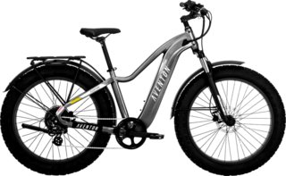 Aventon Aventure 2 vs Gazelle Ultimate C380 Plus 2.0: What is the ...