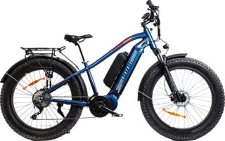 Biktrix Juggernaut Classic Duo Step Over vs Rad Power Bikes RadRunner ...