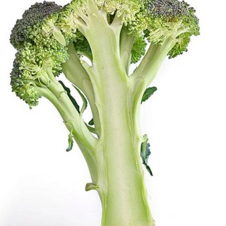 Broccoli Stalks vs Red Cabbage: What is the difference?