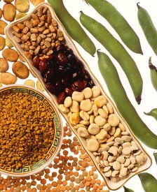 Best legumes for a healthy diet | The Versus nutrition ranking