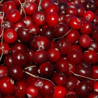 Cranberry vs Red Currant: What is the difference?