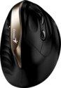 Genius ECO-8100 vs Microsoft Classic IntelliMouse: What is the difference?