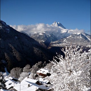 Gryon review | 63 facts and highlights