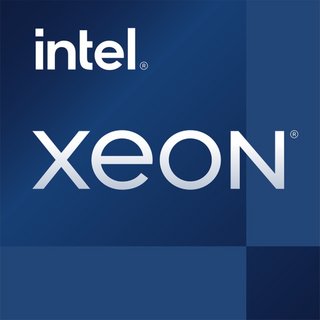 Intel Xeon Platinum 8593Q vs Intel Xeon W-1390: Qual a diferença?