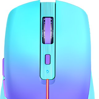 Acer Nitro Gaming Mouse vs Rapique R110: Quelle est la différence?