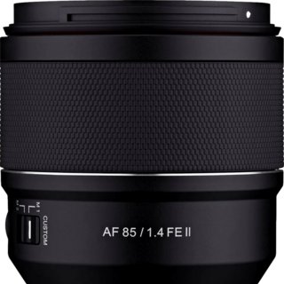 Nikon 1 Nikkor VR 10-100mm f/4.5-5.6 PD-Zoom vs Rokinon AF 85mm f/1.4 ...