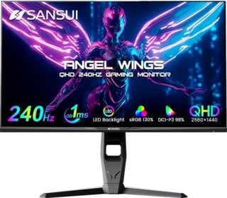 Lenovo G25-10 24.5" vs Sansui ESA-G27F6Q Pro 27": What is the difference?