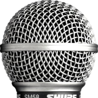 Shure SM4 vs Shure SM58: Quelle est la différence?