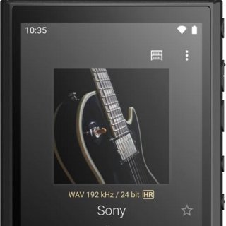 Apple iPod 5 touch 64G vs Sony Walkman NW-A306: What is the difference?