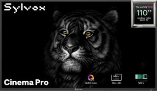 Sony X950B Flagship 4K Ultra HD TV vs Sylvox Cinema Pro 110": What is the difference?