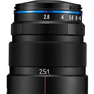 Panasonic Lumix S 100mm f/2.8 Macro vs Venus Laowa 25mm f/2.8 2.5-5X ...