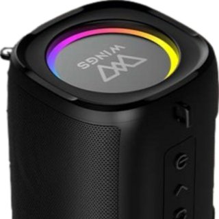 Ion Audio Water Rocker vs Wings Upbeat 101: Quelle est la différence?