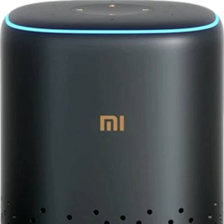 Marshall Uxbridge Voice with Alexa vs Xiaomi Smart Speaker Pro: Quelle ...